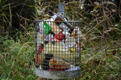 Free Images Play Environment Litter Pollution Dustbin Crowded