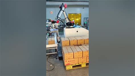 Robotic Palletizing Cell By Collaborative Robot From Atomrobot Youtube