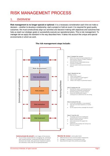 risk management pdf