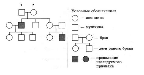 Задание №2962 По изображенной на рисунке родословной определите вероятность в рождения