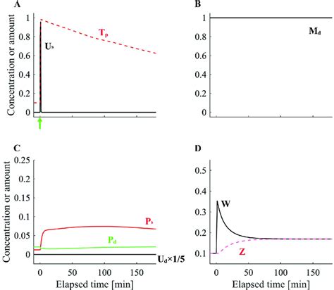 The Dynamics Of Each Variable With The E Ltp Inducing Stimulation Download Scientific Diagram