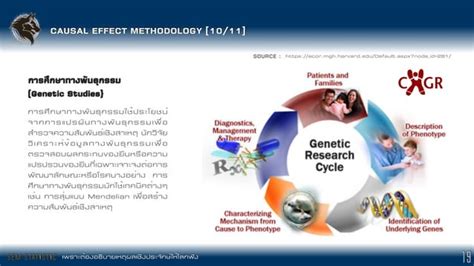 SEM Introduction Pdf