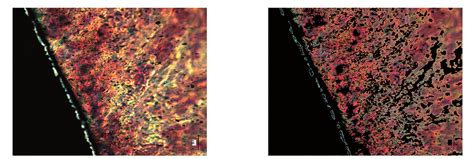 image binarization and automatic selection of the color threshold