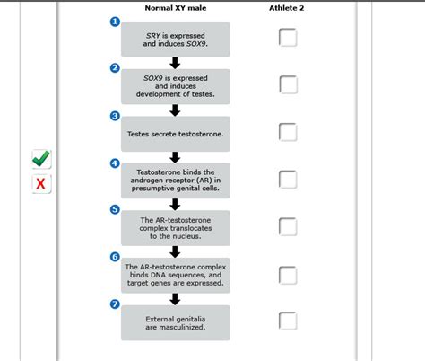 Solved Use Your Test Results To Indicate Which Steps Of Chegg Com