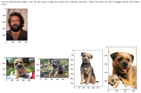 Dog Breed Classification Using Deep Learning Concepts By Torben