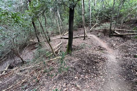 Lago Dellaccesa Mtb Pedalalibre