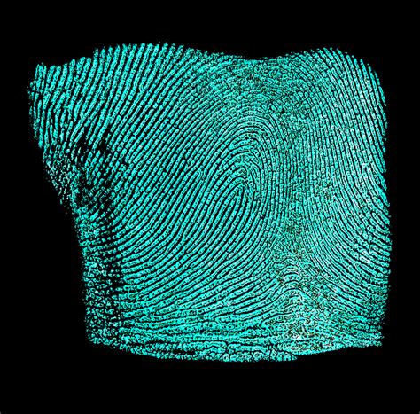 Do You Have What It Takes To Be A Forensic Fingerprint Examiner Nist