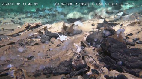 Chineză Submersibilă Explorează Cratere Uriașe Necunoscute Anterior în