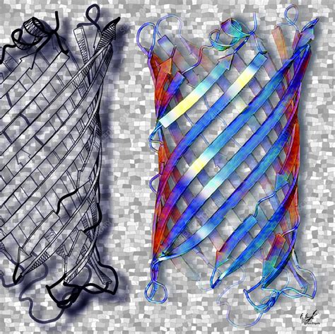 Bacterial Outer Membrane Protein Illustration Stock Image C056 9243 Science Photo Library