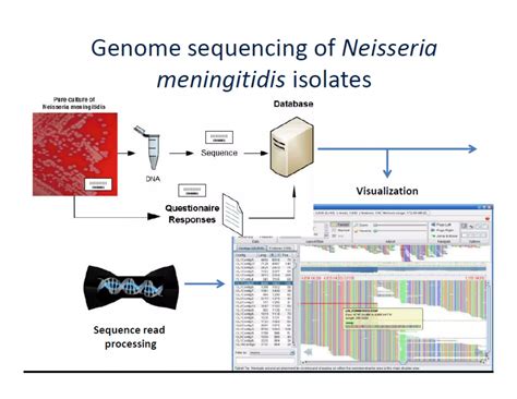 Microbial Genomics And Surveillance An Overview Snapshot For A Laymans Understanding Pdf