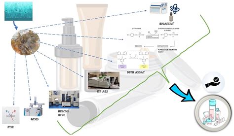 Marine Drugs Free Full Text Comprehensive Phytochemical Analysis And Bioactivity Evaluation