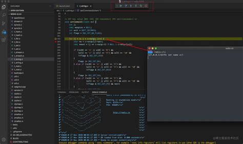 Visual Studio Code Debug Redis阅读redis源码避免不了debug，直接使用gdb调试很不 掘金