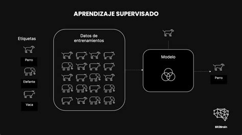 Explorando el aprendizaje automático tipos y ejemplos