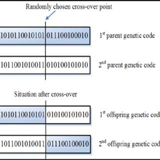 Two Site Crossover Operation 19 Download Scientific Diagram