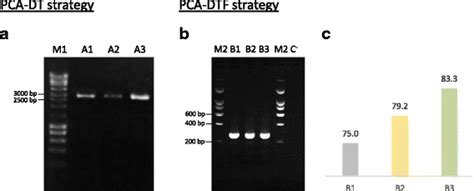 The Efficacy Of Pca Dt And Pca Dtf Methodologies To Generate Small