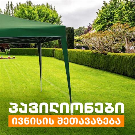 Domino • დომინო Domino • დომინო Added A New Photo