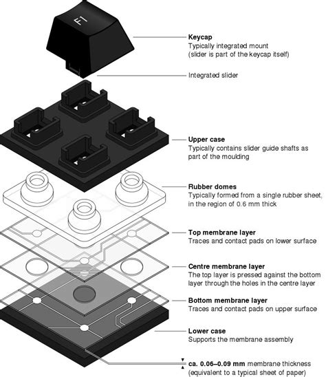 Mechanical Keyboard Switch Diagram Mechanical Switches Guide