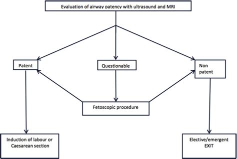 Example Of Schematic Diagram In Quantitative Research Wiring Flow Schema
