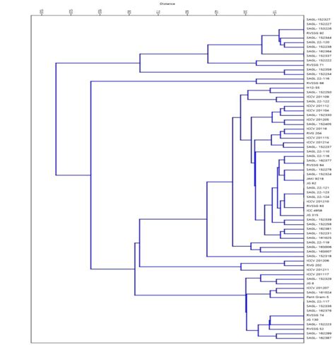 Upgma Dendrogram Based On Morphological Variability In Qualitative