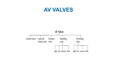 Sequential Segmental Analysis Pptx