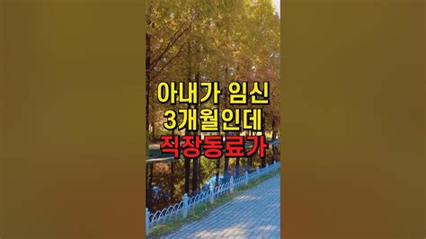 아내가 임신 3개월인데 직장동료가 연락하는 충격적인 이유 Youtube