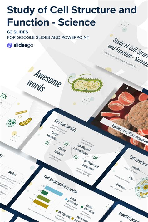 Cell Structure And Function 9th Grade Science