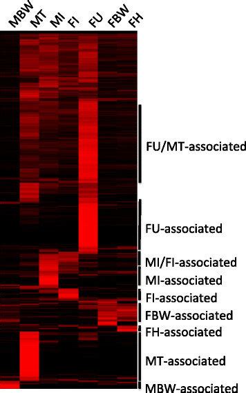 Comparison Of D Immitis Gene Expression Profiles Between D Immitis