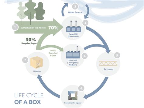Life Cycle Of A Box Coastal Container