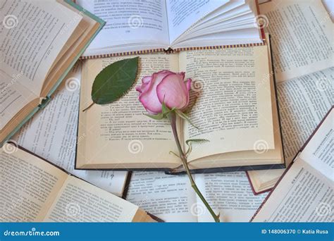 Livros Abertos E Rosa Cor De Rosa Com Folha Foto De Stock Imagem De