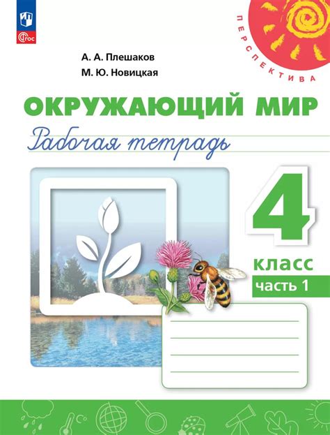 Рабочая Тетрадь 4 класс Плешаков Новицкая Окружающий мир Часть 1 по программе Перспектива