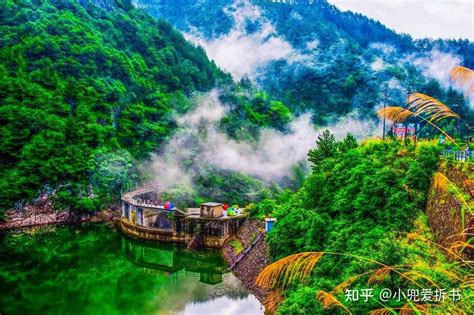 疫情期间去不了杭州天目山天目笋干的故事先看下 知乎