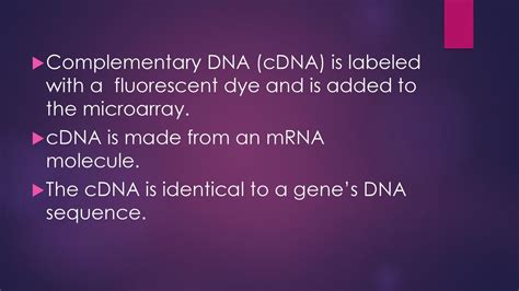 Frontiers Of Biotechnology Ppt Download