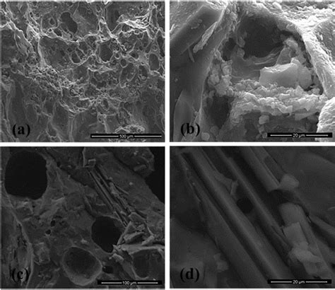 SEM Images Of The Pristine Pumice Sample At Different Magnifications Download Scientific