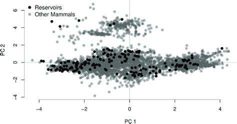 Principal Component Scores For Mammalian Species We Conducted