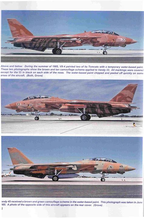 Color And Markings Of The F 14 Tomcat Part 3 Prototypes Test Evaluation And Adversary