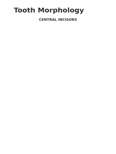 Tooth Morphology Pdf