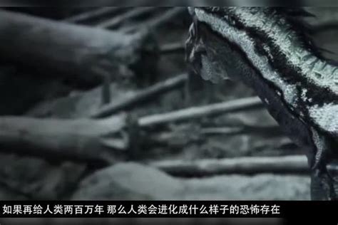 恐龙生存了1 6亿年没有产生文明，而人类不过百万年就诞生了文明 文明 恐龙 人类