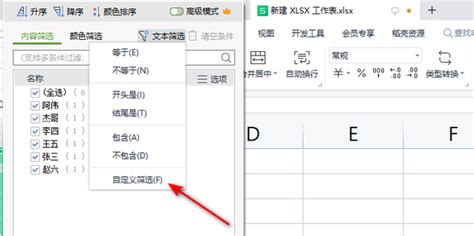 WPS Excel怎么同时筛选多个关键字 360新知