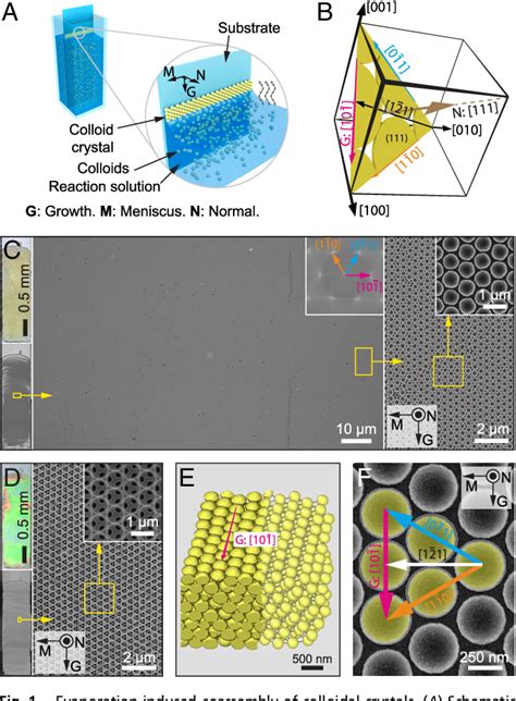 Figure 1 From Microscopic Origins Of The Crystallographically Preferred Growth In Evaporation