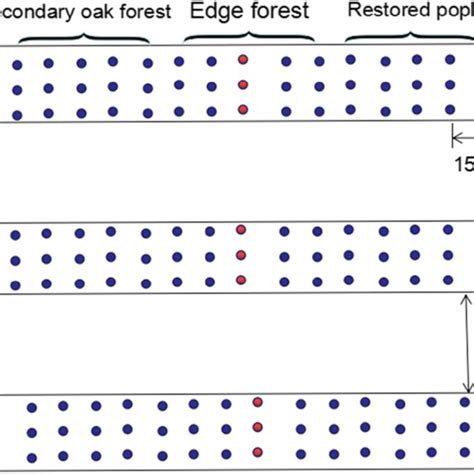 Schematic Diagram Of Sample Plot Setting Download Scientific Diagram