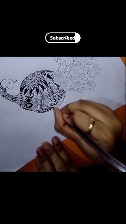 Peakcock Mandala Art Abirajarts1607 Satisfying Mandalaart Mandala