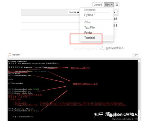 Jupyter Notebook 有哪些奇技淫巧？ 知乎