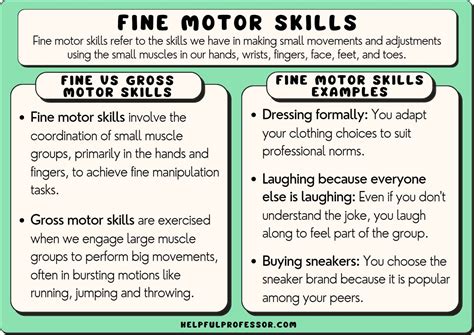 25 Fine Motor Skills Examples 2025
