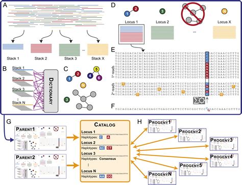 Stacks A Program For Identifying And Genotyping Loci With Next