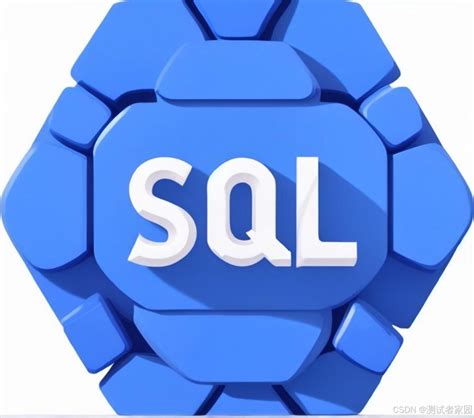 Sql入门指南：初学者必会的基本操作与进阶技巧数据库基础及sql开发能力 Csdn博客