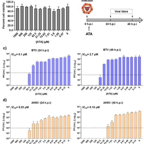 Standard Curves For Ct Value Against Rna Copy Number For Seg 1 And
