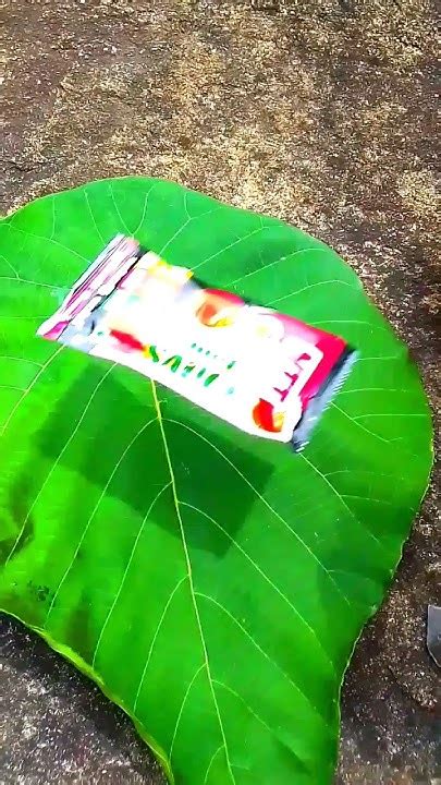 අප්පිරියා වට බෙහෙත 💯 😆 Food Shortvideo Spicy🤗😍 Lankan Sl C K Bro😍😍😍 Youtube