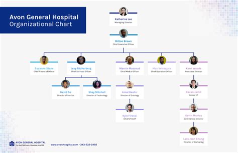 12 Organizational Chart Examples Templates Business Organizational Structure Organizational