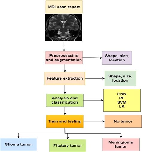 Figure 1 From Advancements In Brain Tumor Detection Using Machine Learning Applications From Mri