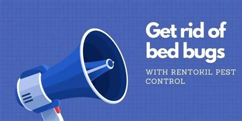 Rentokil Singapore Top Ten Bed Bugs Blog Trending Topics